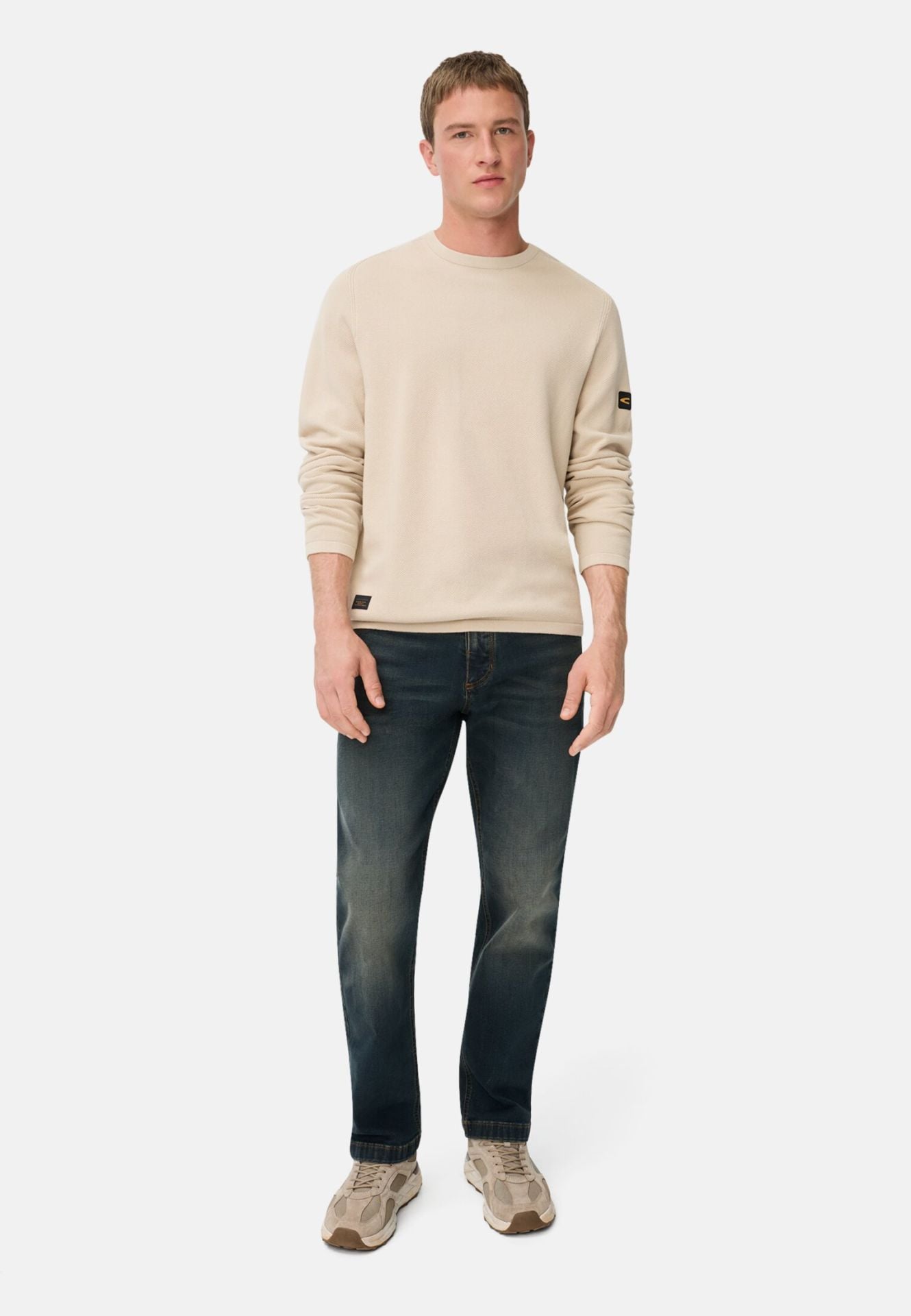 Pullover für Herren in Beige | camel active